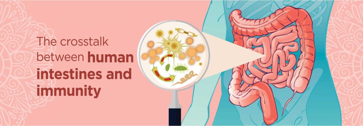 Boosting Immunity through probiotics and gut bacteria - Yakult Malaysia