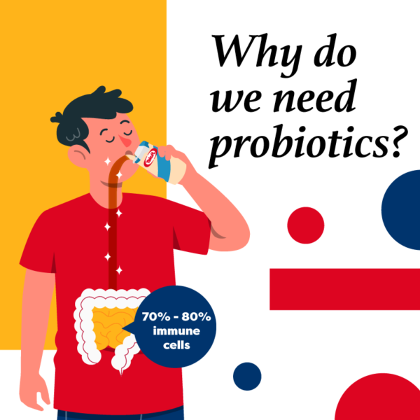 Probiotics: The Friendly Bacteria That Your Gut Needs | Yakult Malaysia