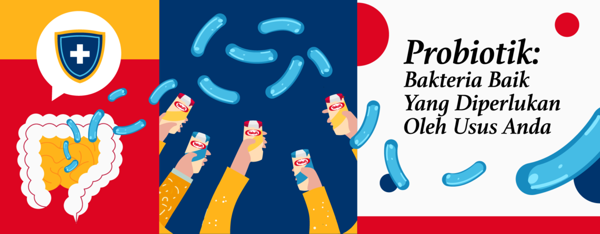 Probiotik: Bakteria Baik Yang Meningkatkan Kesihatan Usus Anda